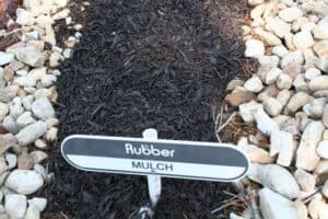 Dog-Safe Mulch: 5 Best Options for Your Yard - Dog Friendly SWFL